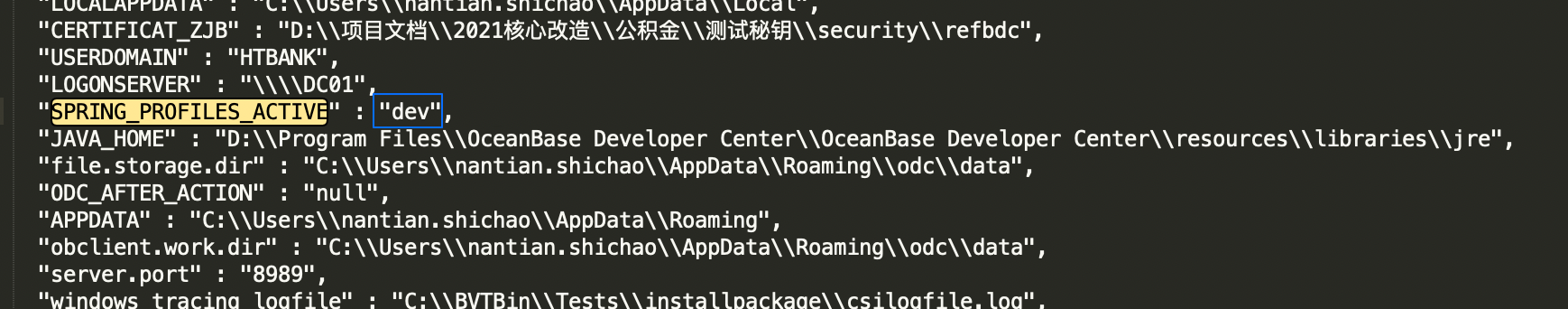 桌面版 ODC 启动失败，Java 进程异常退出-OceanBase数据库使用指南
